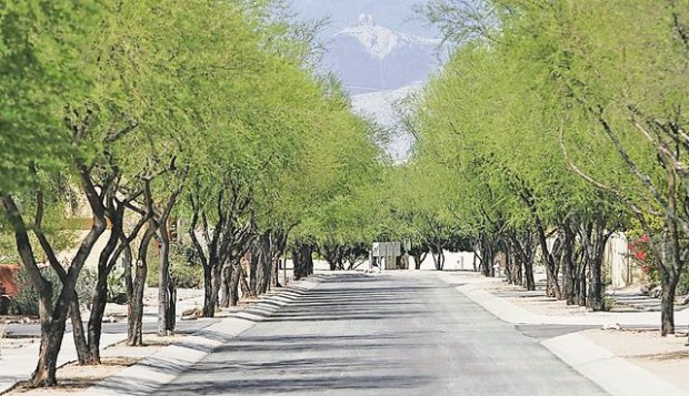 Civano, with 2,500 homes, marks 10th year