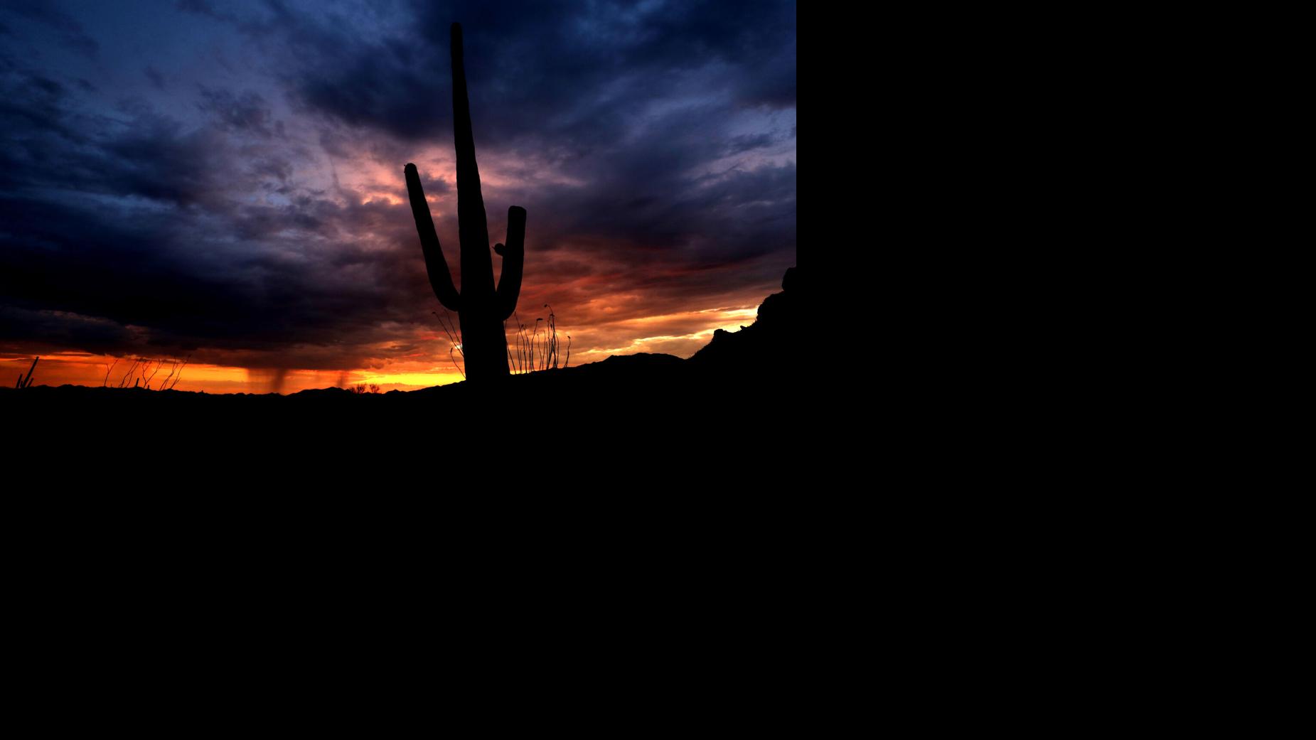 Tucson Weather Forecast