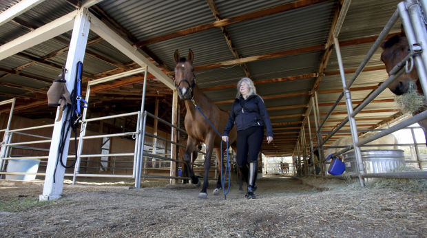 My Tucson: Shelene Taylor