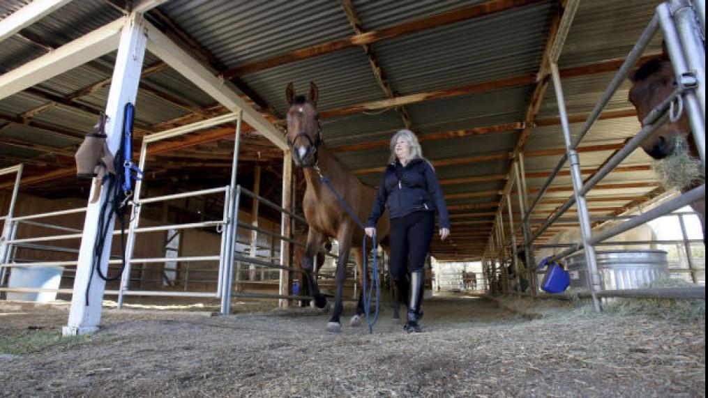 My Tucson: Shelene Taylor