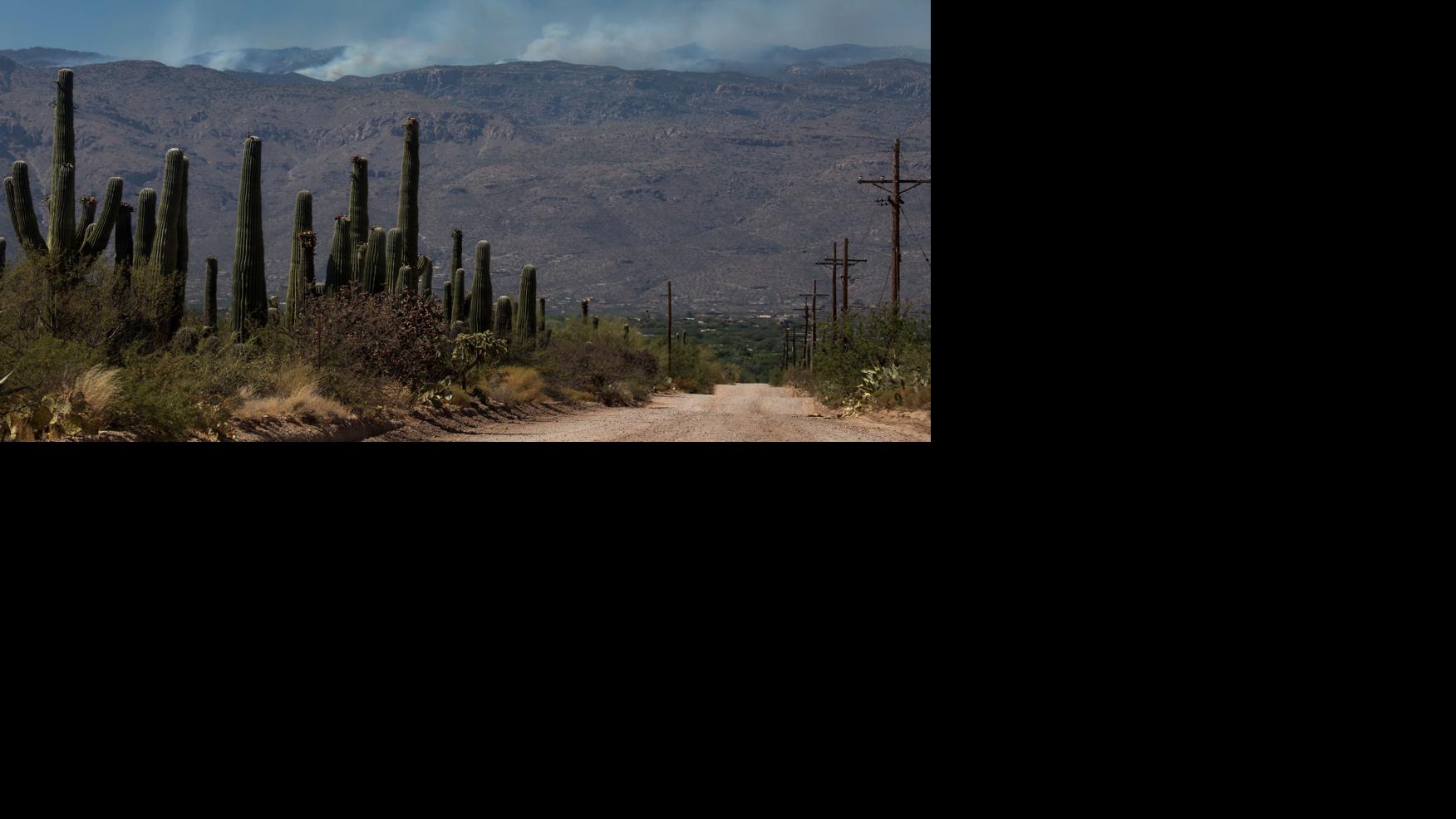 Tucson's Bighorn Fire: Summerhaven, Willow Canyon residents and ...