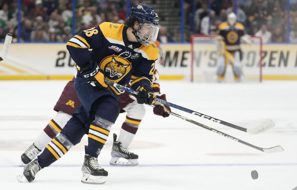 Quinnipiac's Sam Lipkin to AHL's Tucson Roadrunners | Tucson | tucson.com