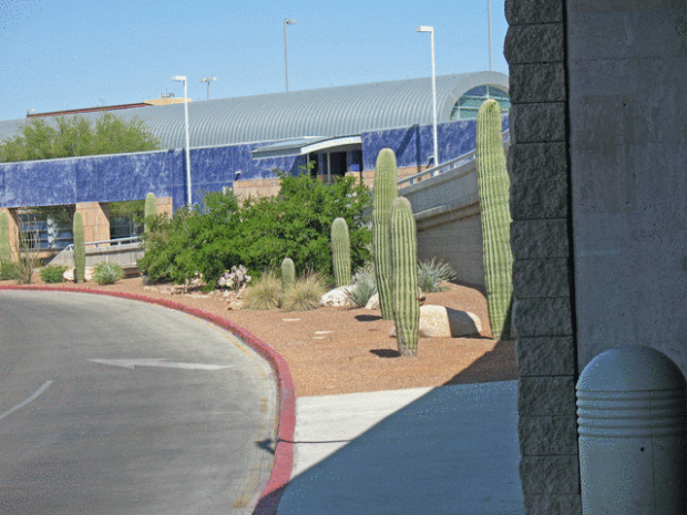 Flying pet pit stop open for 'business'