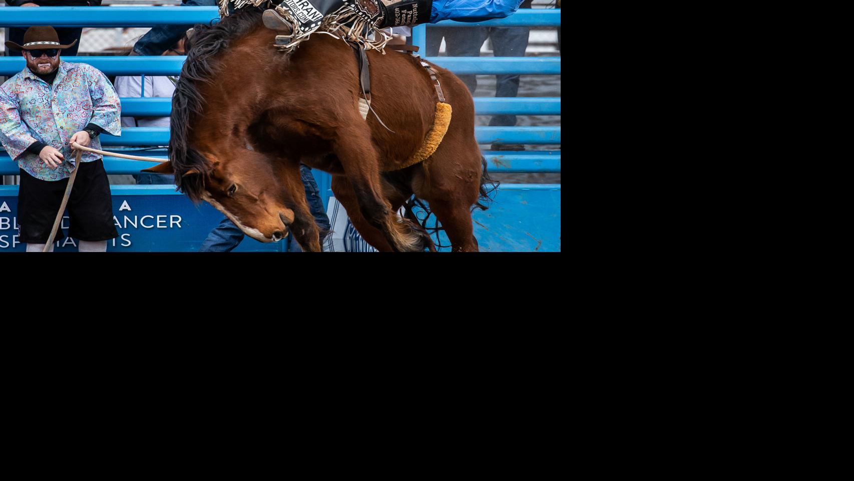 Greg Hansen: For bareback rider Steven Dent and his friends, Tucson ...