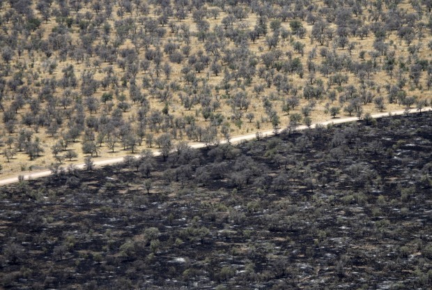 Photo gallery: June 19: Monument Fire | Wildfire | tucson.com