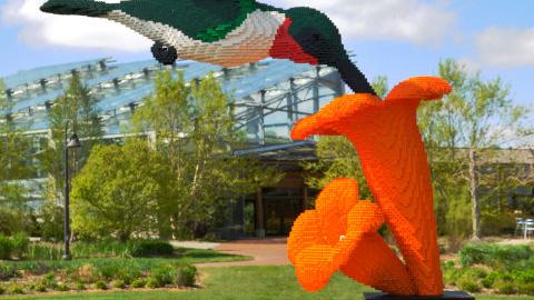 Giant Lego sculptures head to Tucson Botanical Gardens