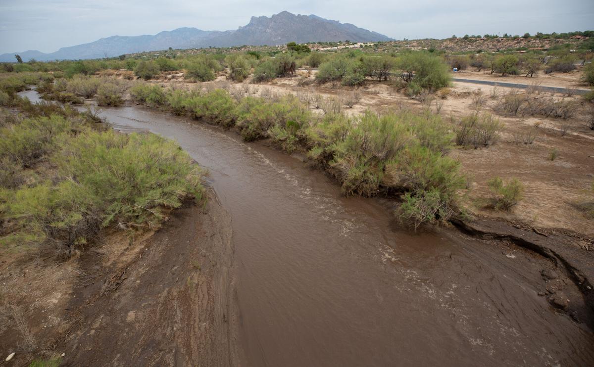 Report card: Top-10 wettest monsoon season likely for Tucson, dent made ...