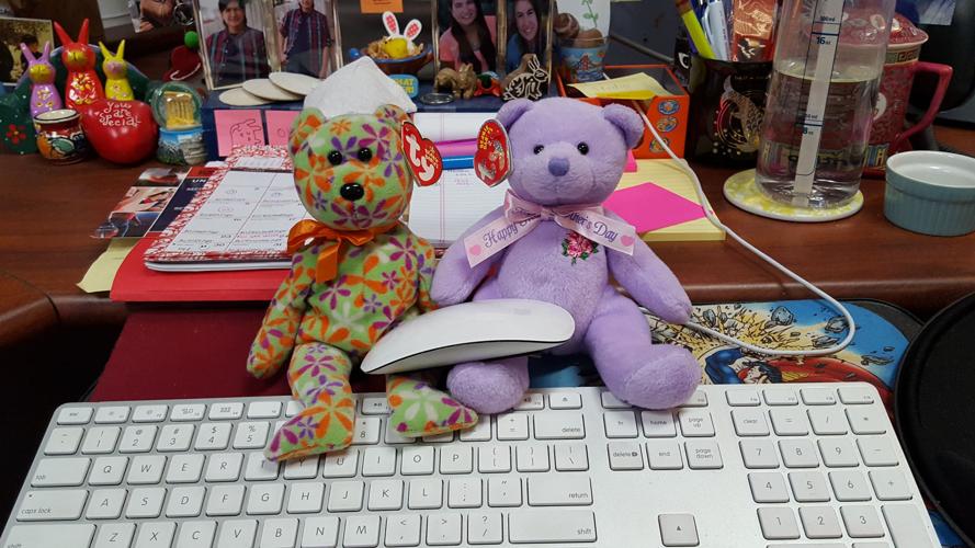 Bring your Teddy Bear to work day: These people did just that