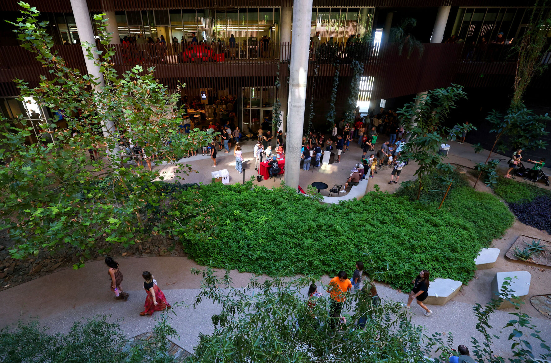 Photos: 13th annual Arizona Insect Festival