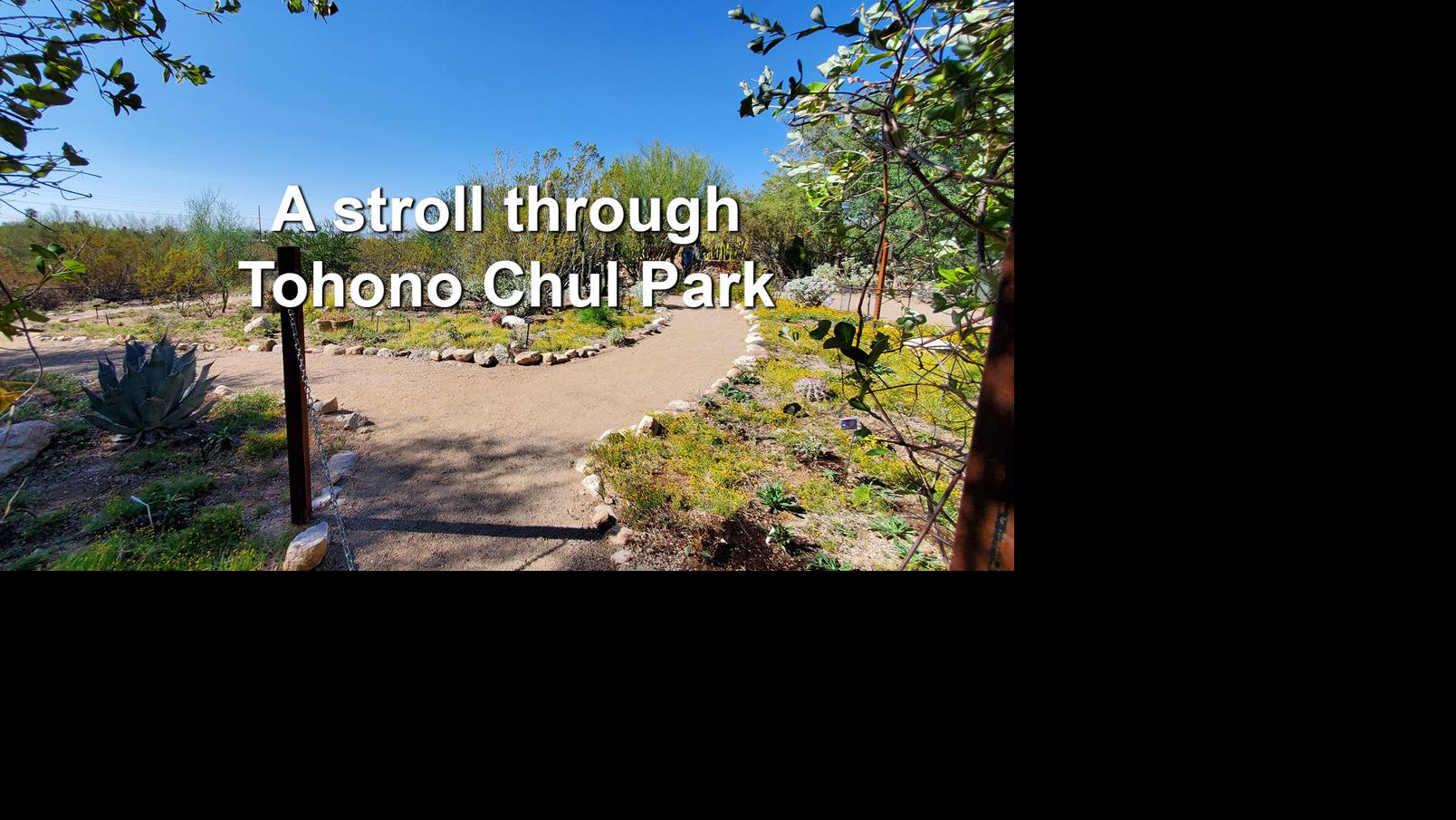 Watch: A stroll through Tohono Chul Park | Recreation | tucson.com