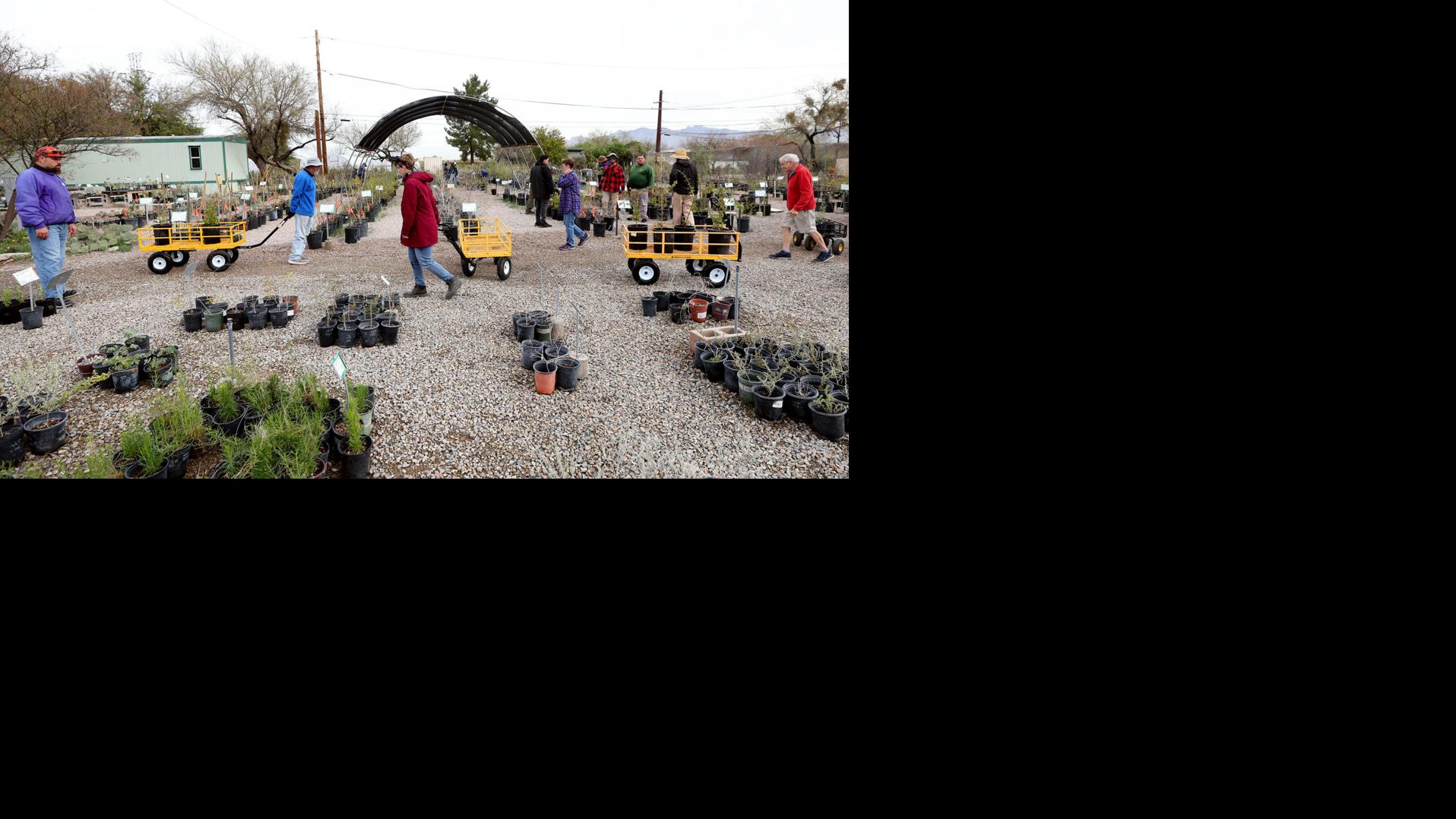 Desert Survivors Native Plant Nursery