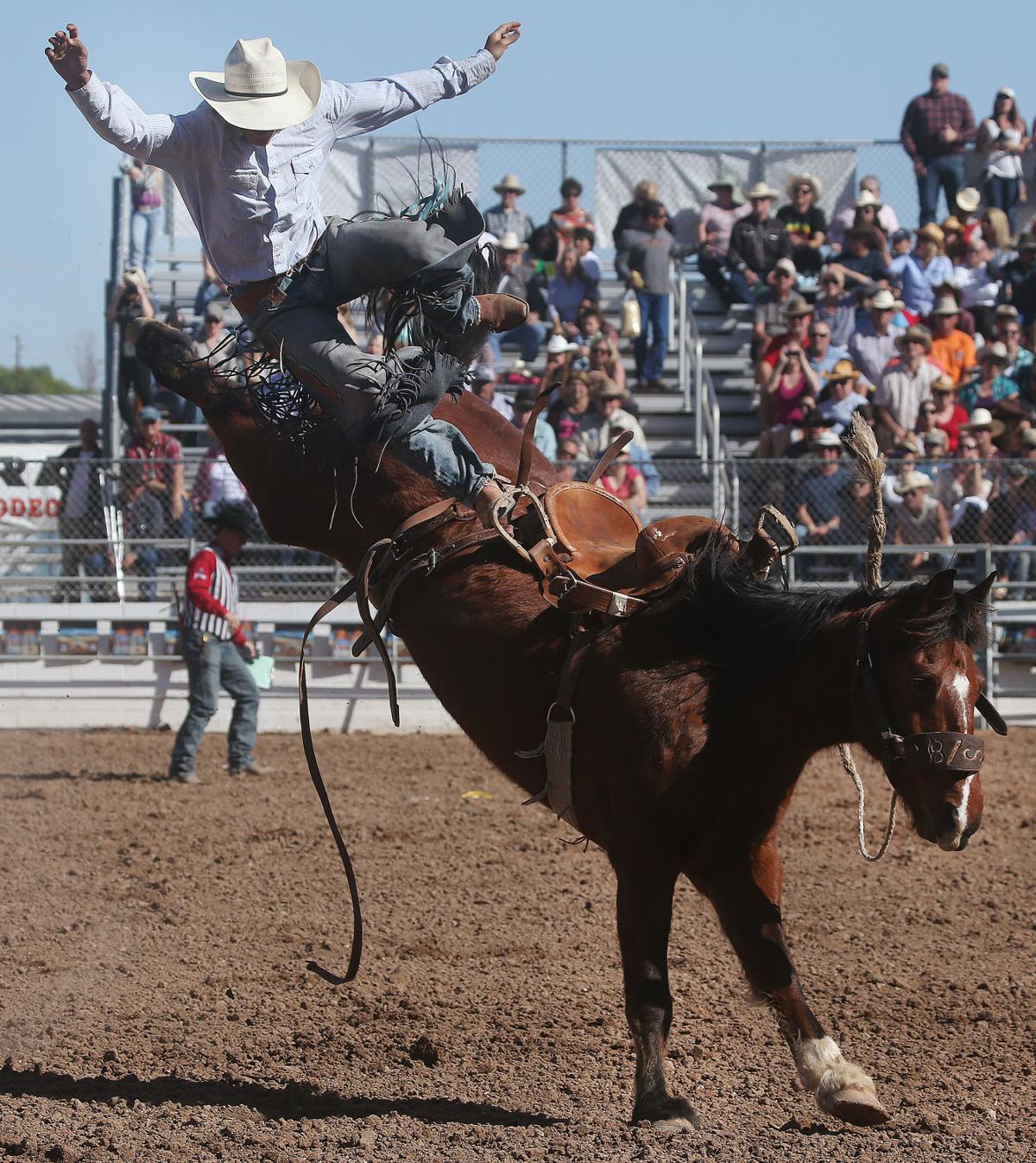 Photos: 2016 Tucson Rodeo | Galleries | tucson.com
