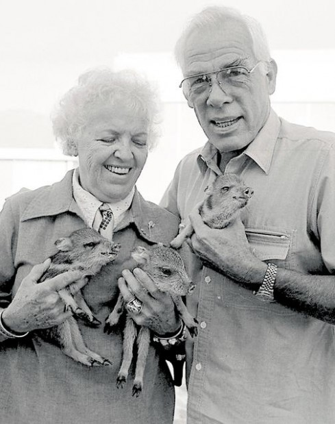 Tucson Time Capsule : Lee Marvin helps animal rehab