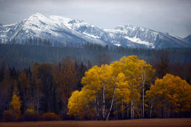 Photos: Fall colors around the world | Outdoors and Events | tucson.com