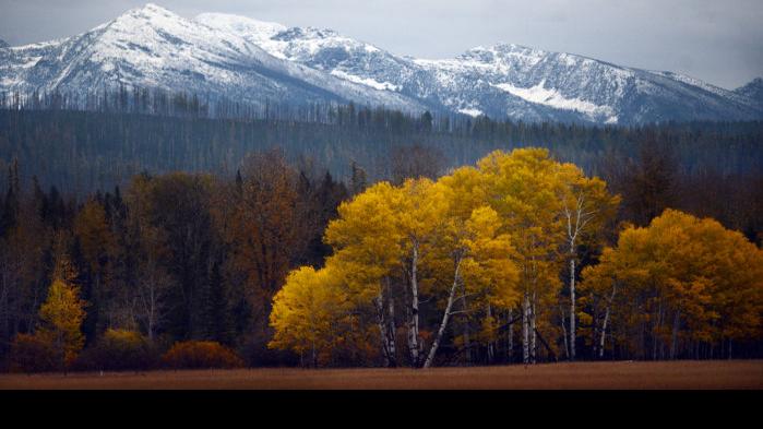 Photos: Fall colors around the world