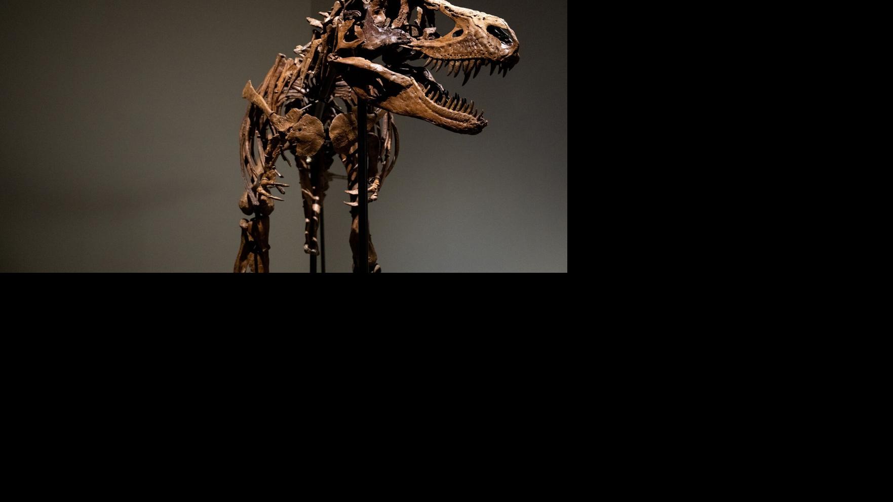 chindesaurus skeleton