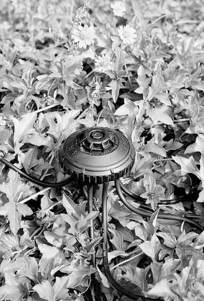 Gardening advice by John P. Begeman: New products make home irrigation ...