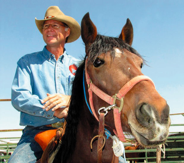 Former wild-roaming horses, burros coming up for adoption | Local news ...