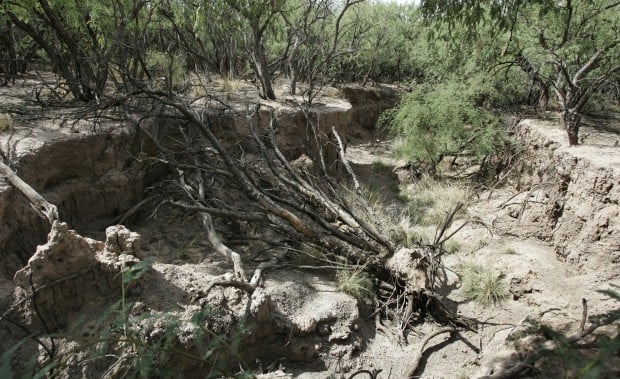 Wide drought hits most of the U.S. | Weather | tucson.com