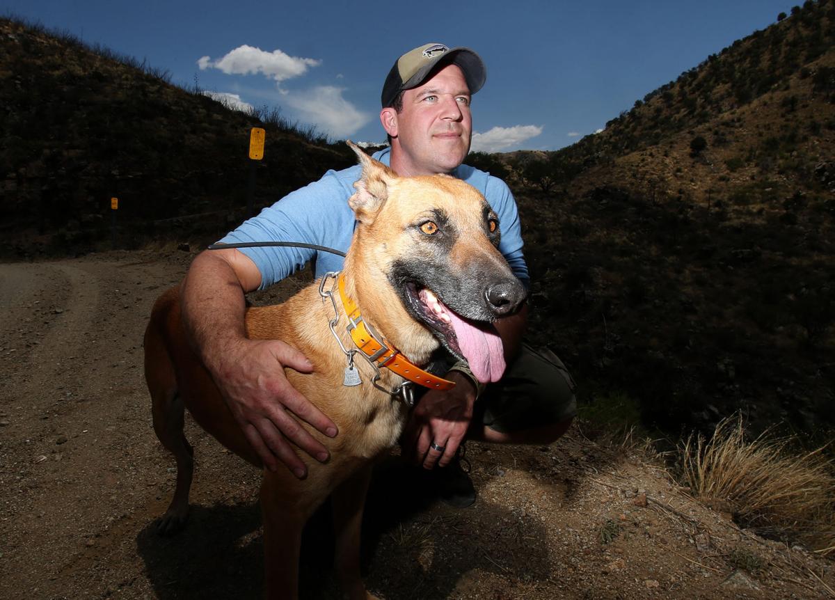 Jaguar video sparked controversy that rages six months later | Local ...