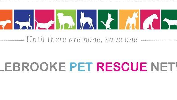 SaddleBrooke Pet Rescue Network Drop Off Program | Pets | tucson.com