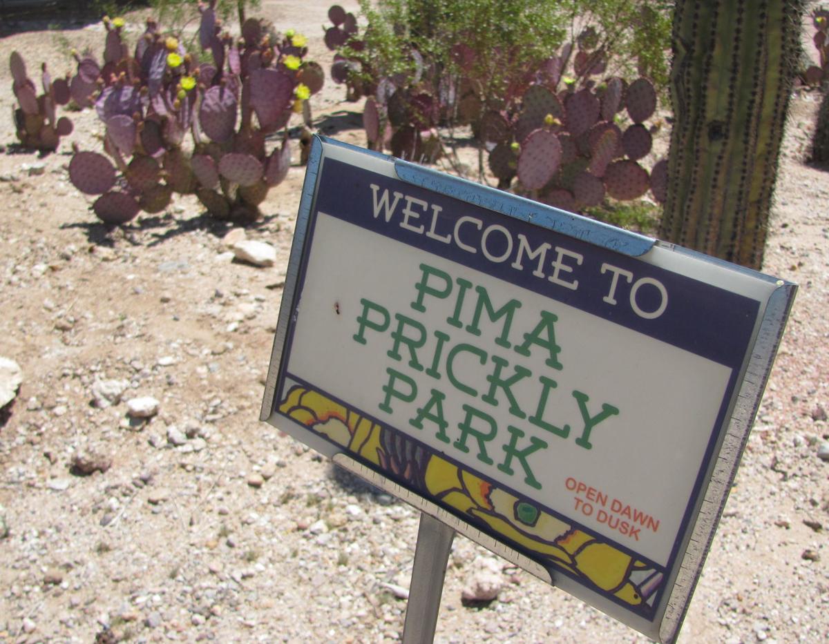 Pima Prickly Park is a preserve of — yep — prickly plants | Recreation ...