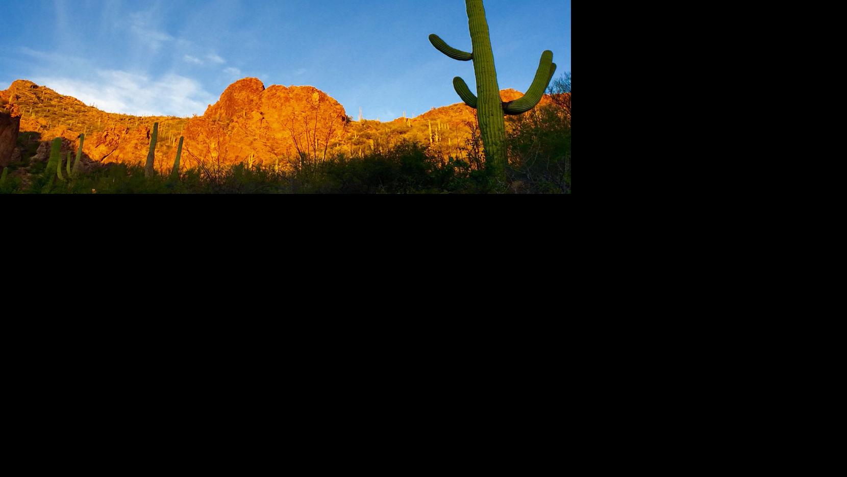 Tucson weather: Sunny skies and cooler temperatures | Local news ...