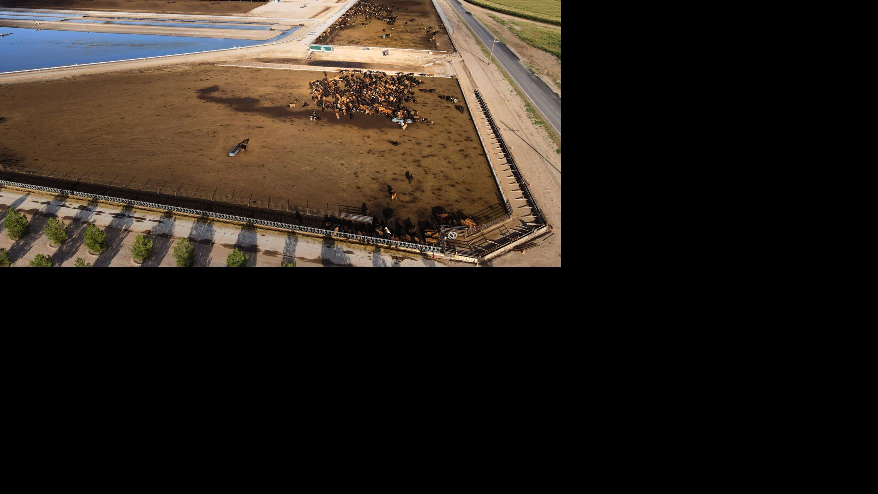 Deal will reduce groundwater overpumping in southeast Arizona