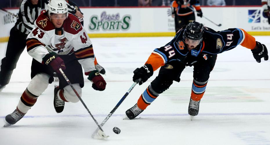 Quinnipiac's Sam Lipkin to AHL's Tucson Roadrunners | Tucson | tucson.com