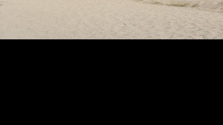 Autumn in Tucson: Go take a hike