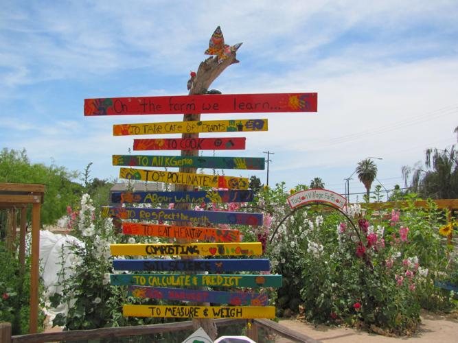 Autumn in Tucson: Tucson Village Farm Harvest Festival