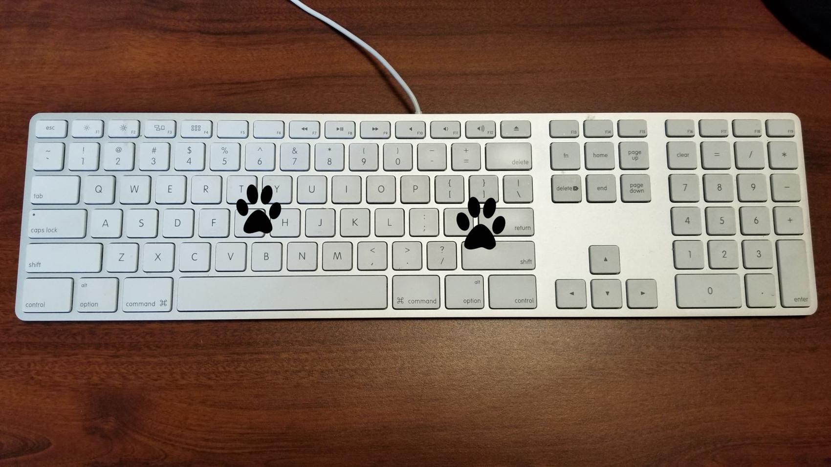 13 things invented, discovered or thought up in Arizona