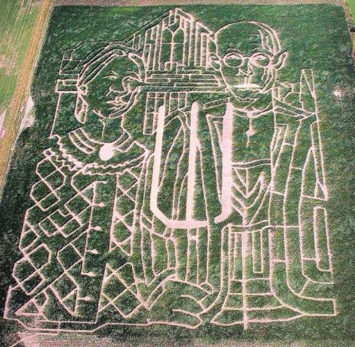 Maize mazes