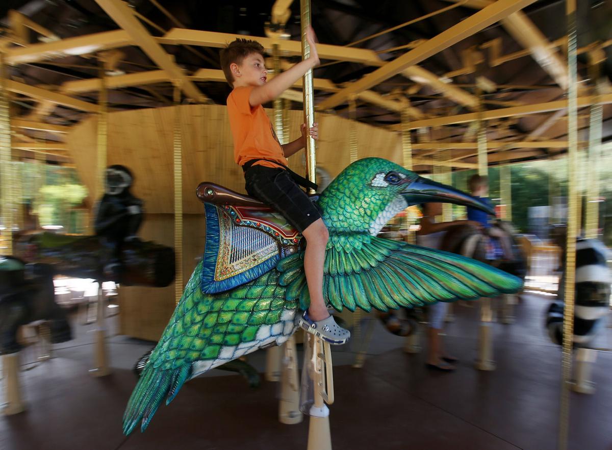 Zoo carousel | | tucson.com