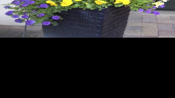 Use Interior Design Principles To Create Container Landscapes