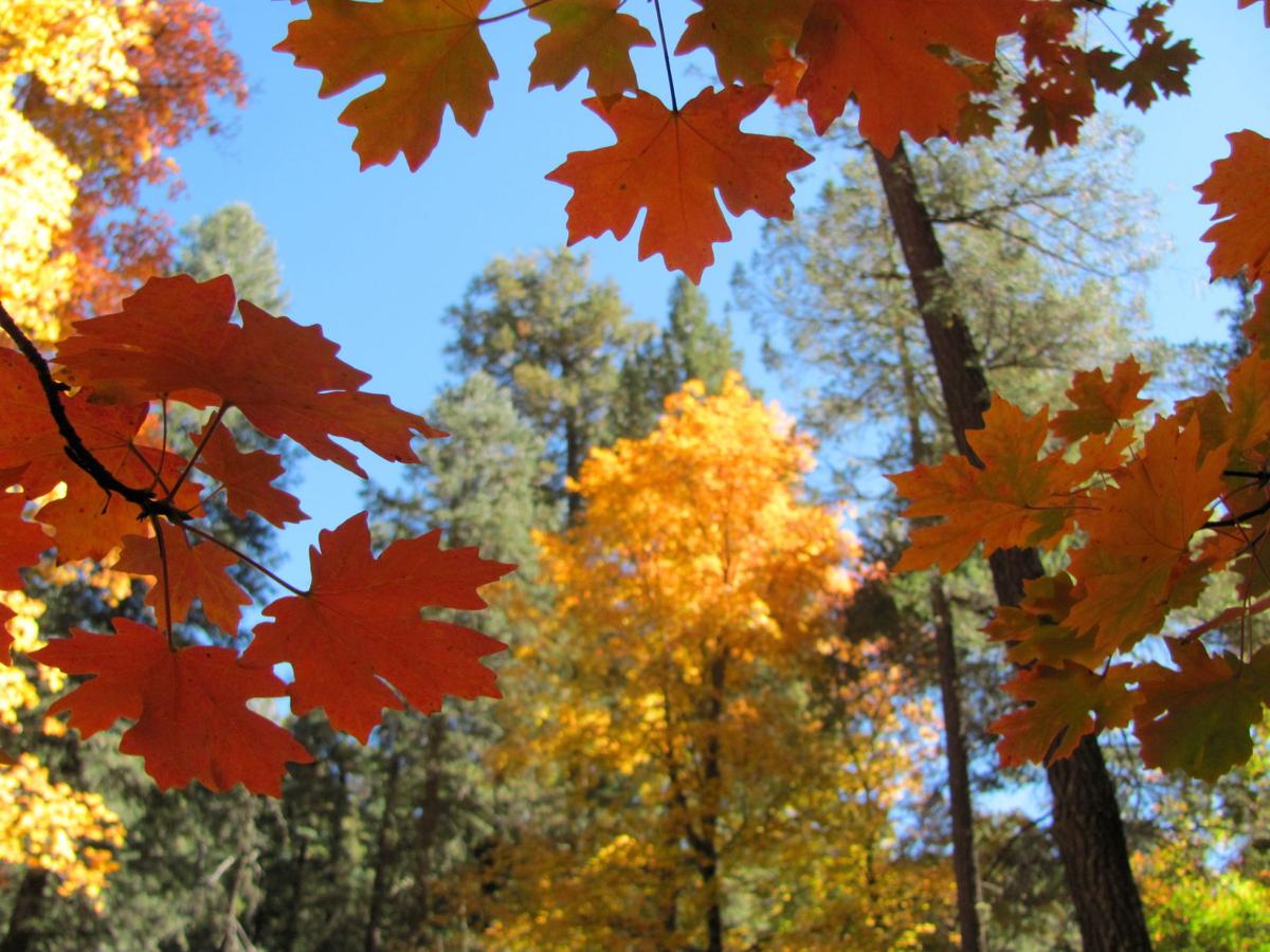Tucson weather: Slightly cooler temperatures in sight— but not today