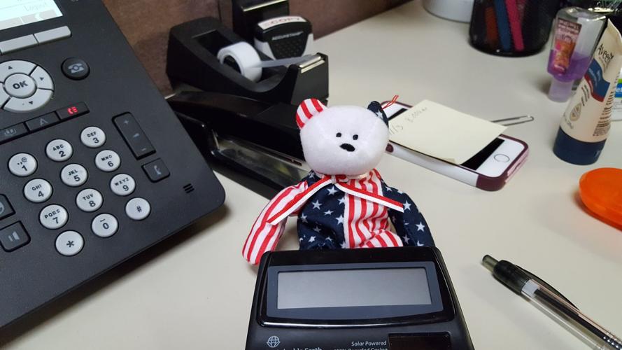 Bring your Teddy Bear to work day: These people did just that