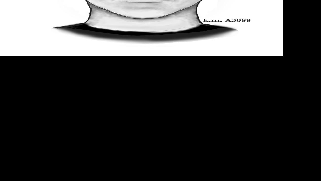 What's known about the Phoenix 'serial street shooter'