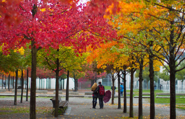 Photos: Fall colors around the world | Outdoors and Events | tucson.com
