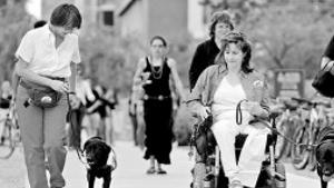 Super-smart dogs rise to any occasion