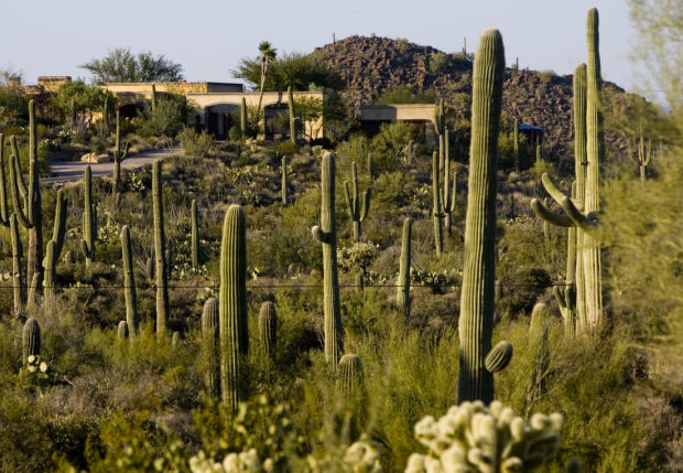 Photos: Favorite Pima County projects | Local news | tucson.com