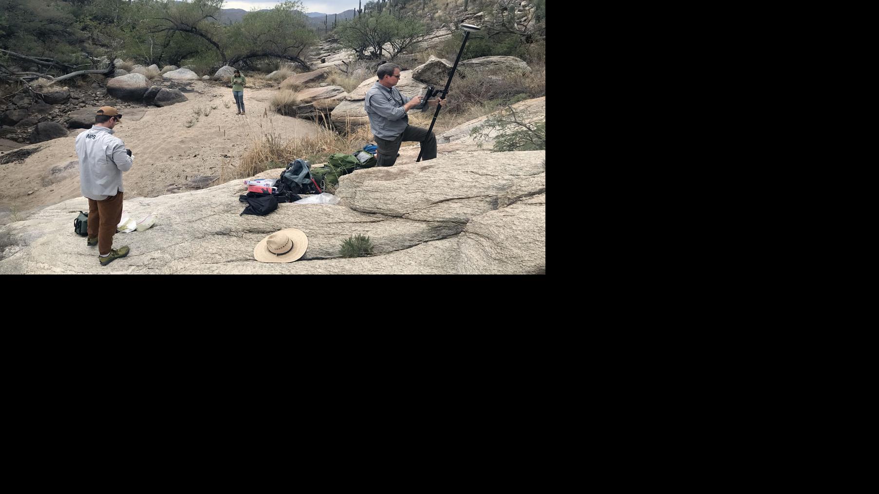 Hot, dry 2023 sapped springs at Saguaro National Park | Subscriber ...