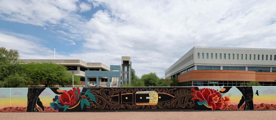 Murals bring color to East Speedway near University of Arizona campus