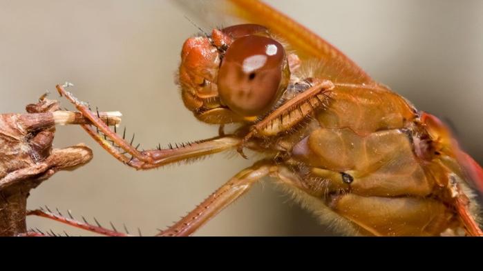 'Shutterbug' takes on new meaning