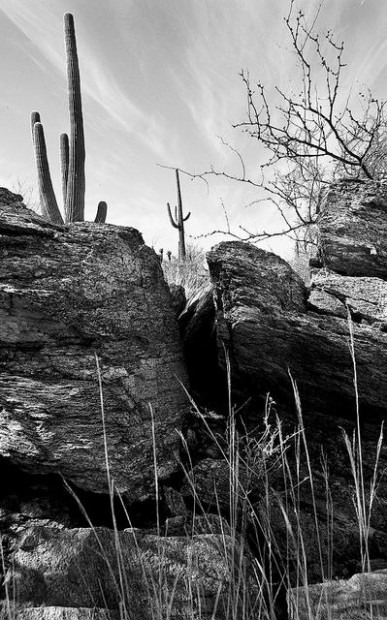 Tanque Verde Ridge Trail: It can be invigorating