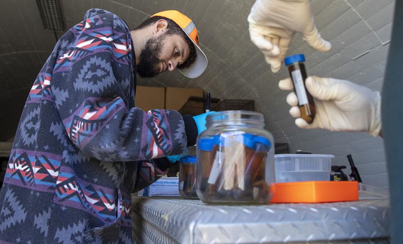 This WWII weapons bunker has a new mission: Sheltering a scientist’s ...