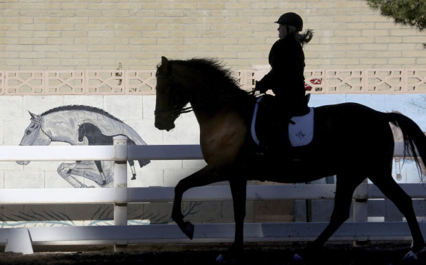 My Tucson: Shelene Taylor