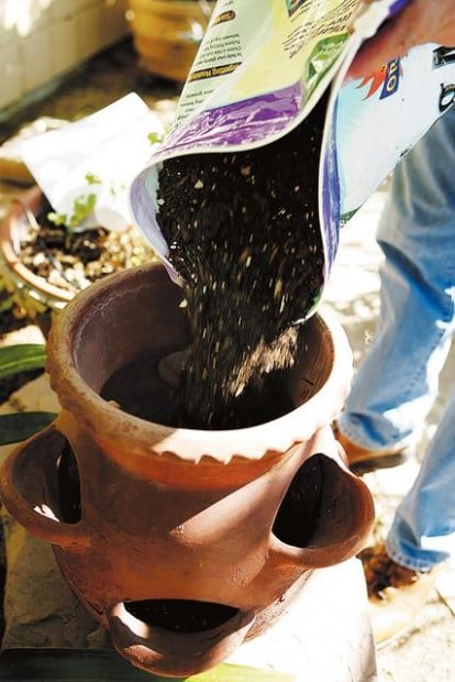 Pick a perfect potting potion