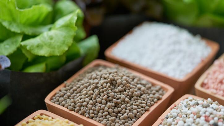 Natural fertilizers to feed your plants | Home-and-garden | tucson.com