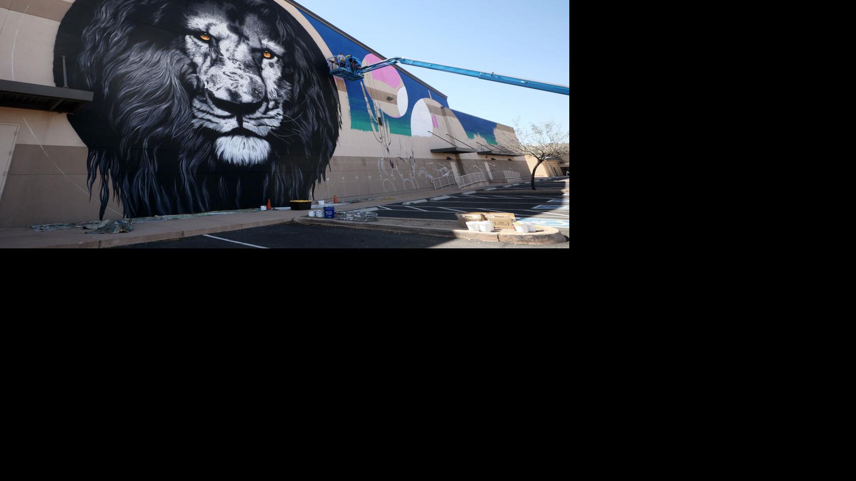 Photos: Tucson artist Joe Pagac works on his largest mural yet | Local ...